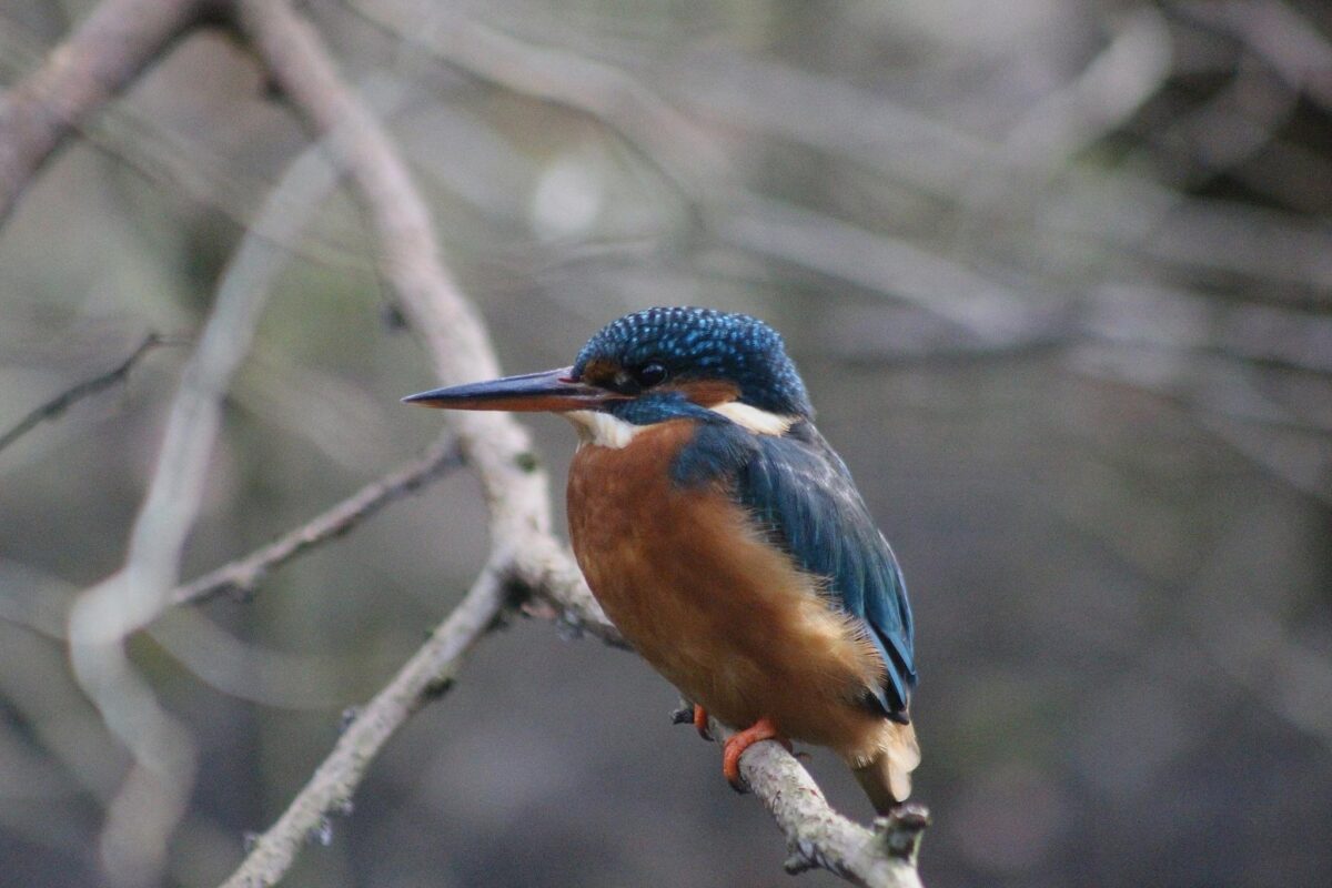 Meanwood Valley Trail Map | Meanwood Park Cafe