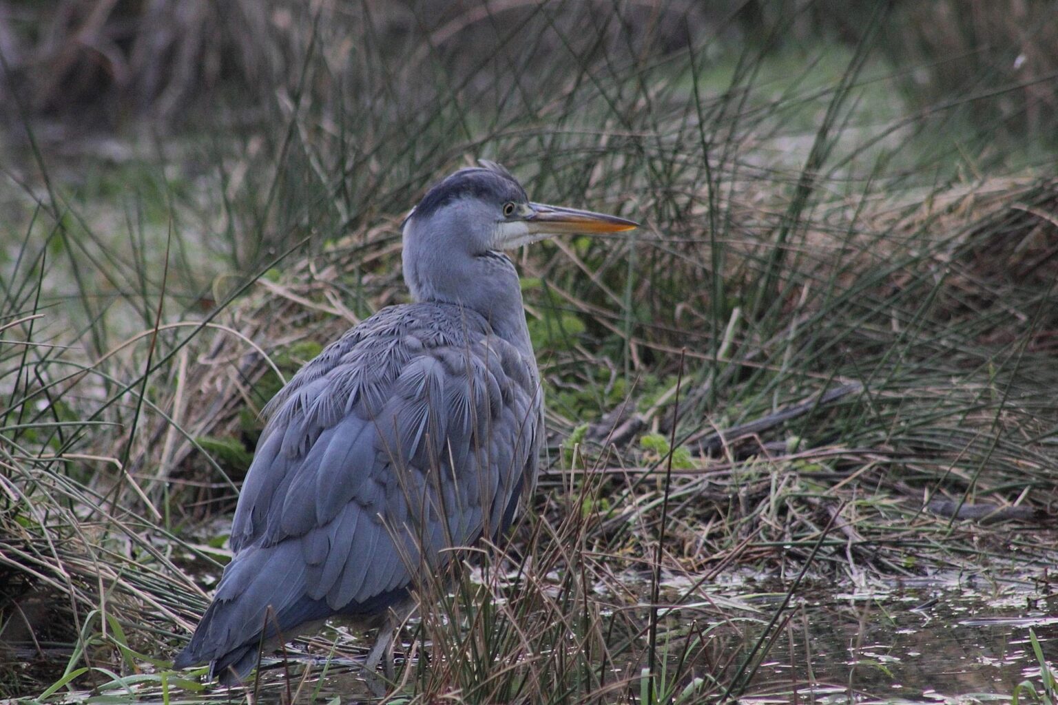 Meanwood Valley Trail Map | Meanwood Park Cafe