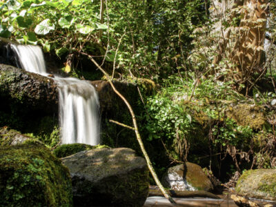 Meanwood Valley Trail Map | Meanwood Park Cafe